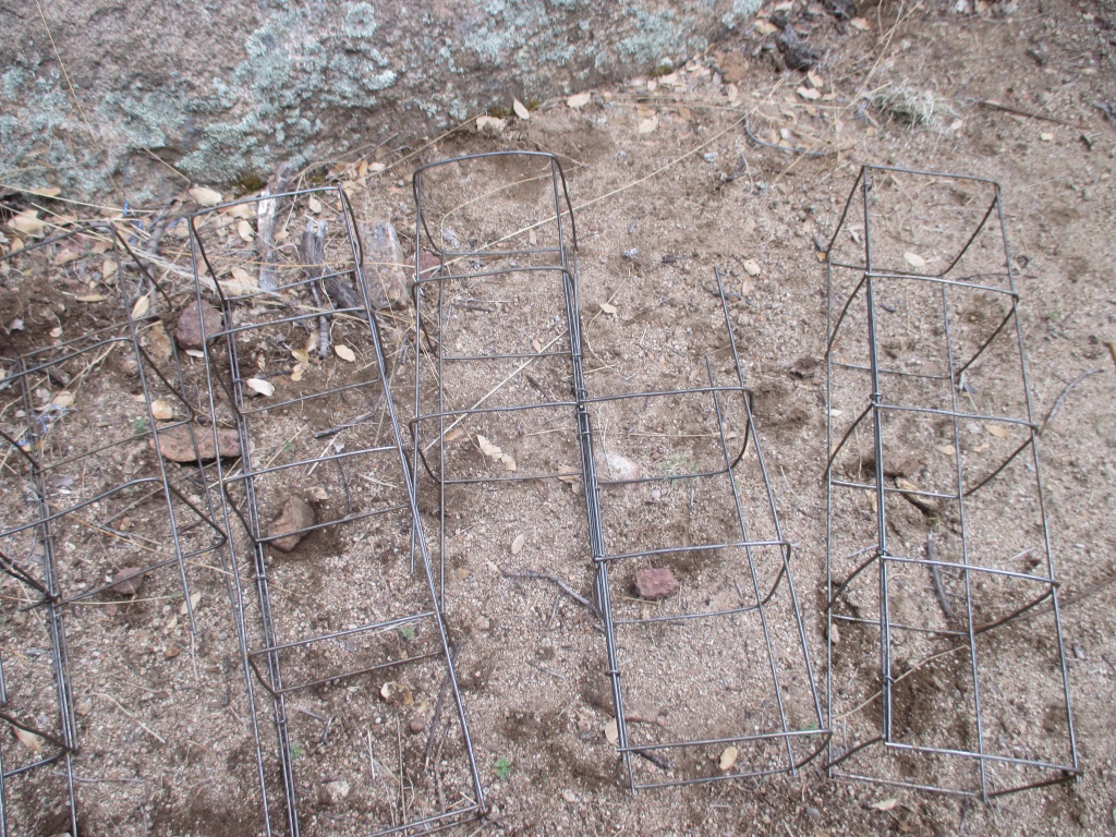 Flex-Shell Framing – FLEX-SHELL ARCHITECTURE